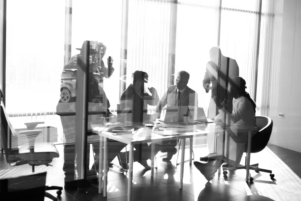 How do I find the details of a shareholder of a company